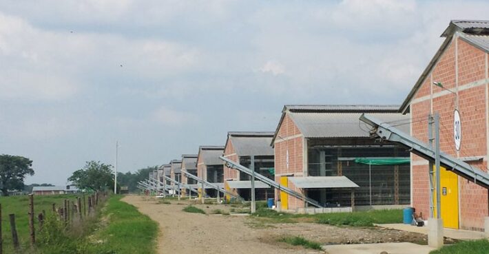 Weltec Biopower to build 800 kW biogas plant in Colombia | Bioenergy ...