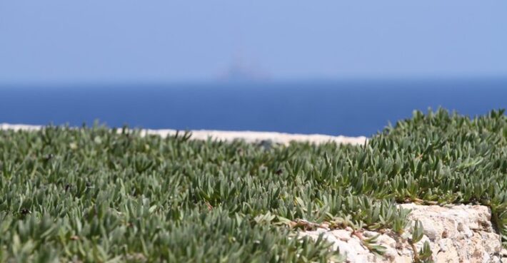 'Clean Energy for EU Islands' launched in Malta | Bioenergy International