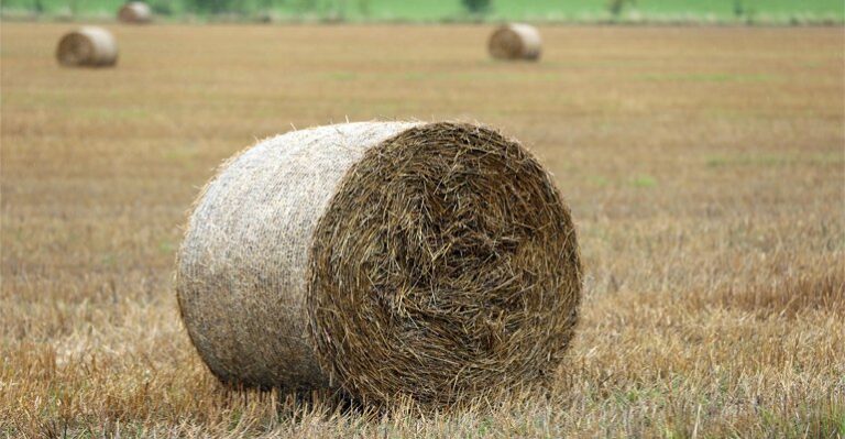 Australia's first straw-fired power plant project one step closer to ...