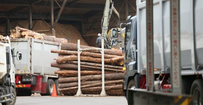 Generating value from wood waste | Bioenergy International