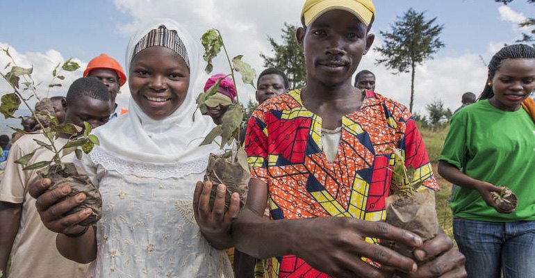 Rwanda to plant millions of trees for 2017/18 forest planting season ...