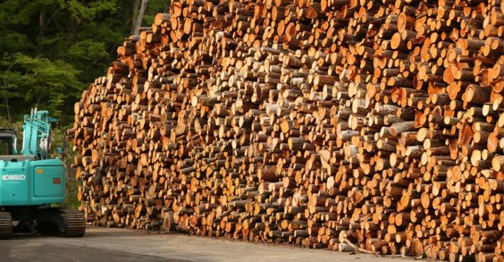 Generating value from wood waste | Bioenergy International