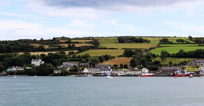 IrBEA outlines bioenergy priorities ahead of the 2021 Budget ...