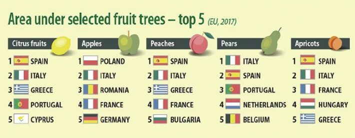 Two-thirds of the EU’s orchard fruit area found in Spain, Italy and ...