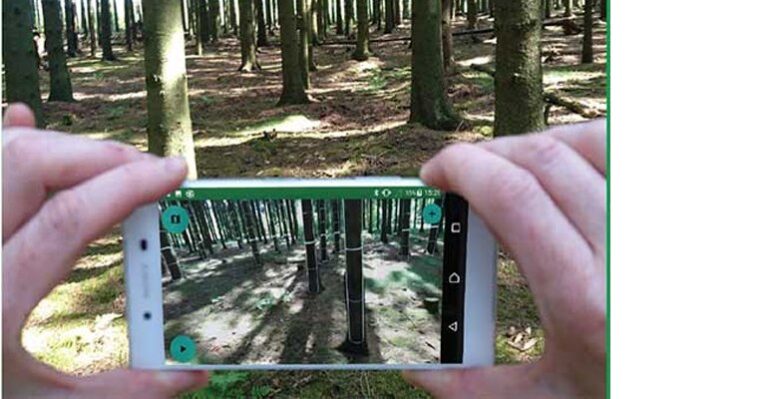 KATAM better than satellites for forest data collection | Bioenergy ...