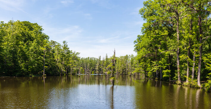 Enviva announces net-zero operations by 2030 target | Bioenergy ...