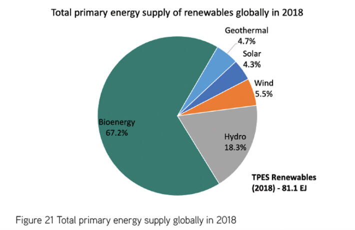 Under dinosaurs reign, bioenergy the largest renewable energy source ...