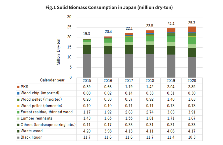 Unravelling Japan's solid biomass fuel consumption | Bioenergy ...