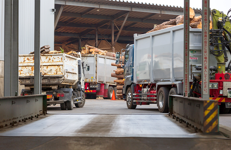 Unravelling Japan's solid biomass fuel consumption | Bioenergy ...