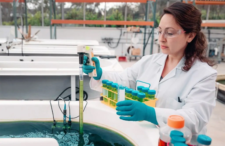 Viridos and ExxonMobil agree to scale algae biofuels | Bioenergy ...