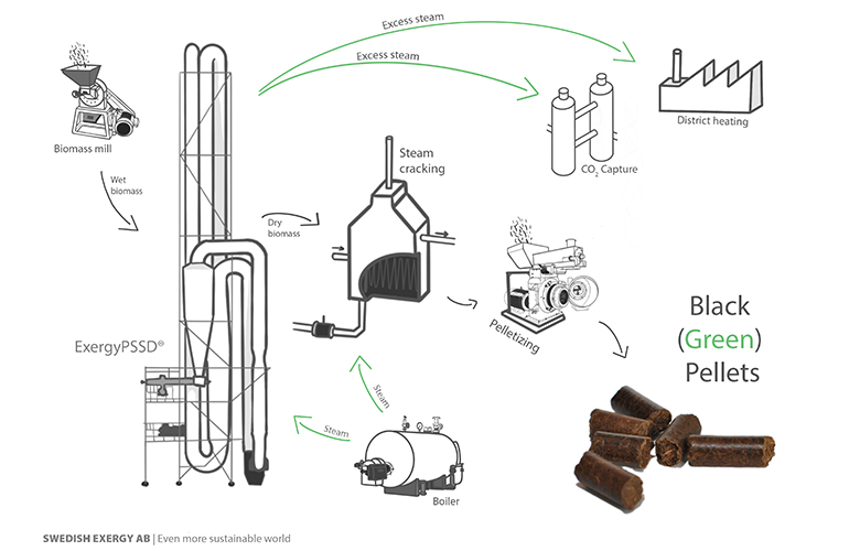 Getting back into the green with black pellets | Bioenergy International