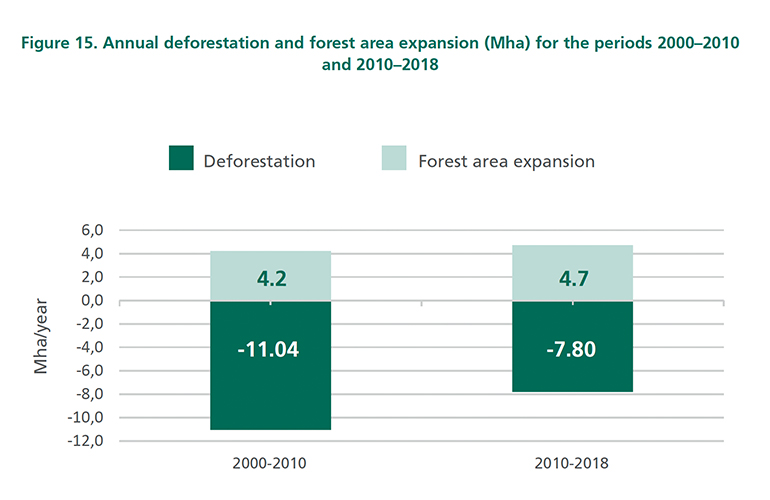 Global deforestation slowing but tropical forests remain under threat ...