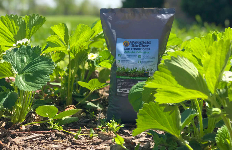 Vow lands breakthrough Biogreen contract | Bioenergy International