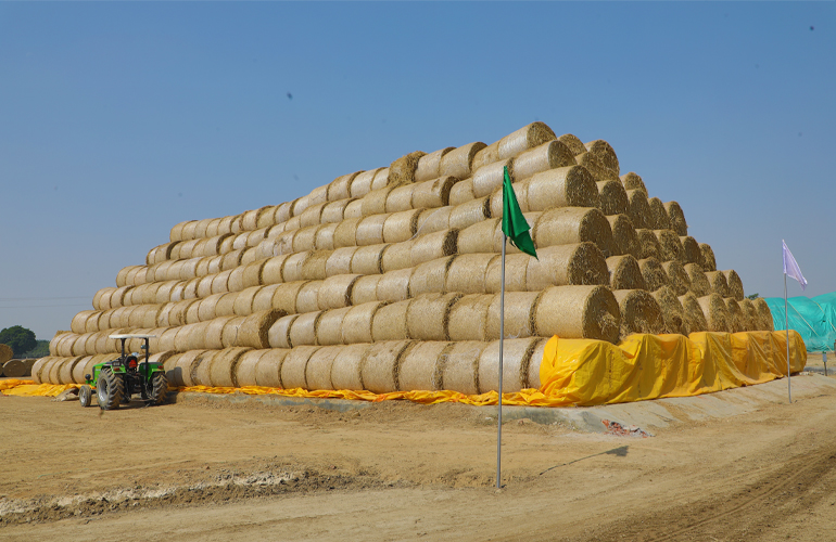 VERBIO India holds Grand Opening of first bioCNG plant | Bioenergy ...