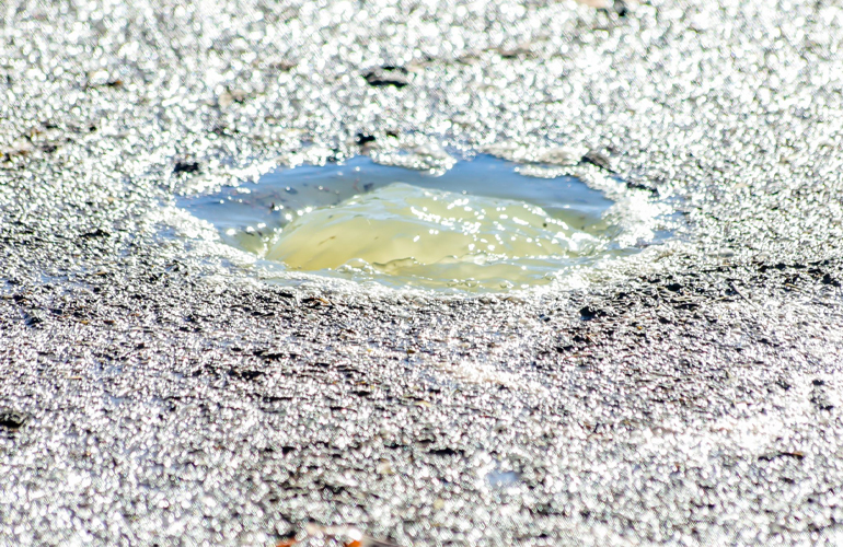 Darling Ingredients and GreenGasUSA achieve first RNG pipeline delivery ...