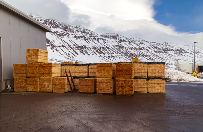 Pioneering pellets in the Land of Fire and Ice | Bioenergy International