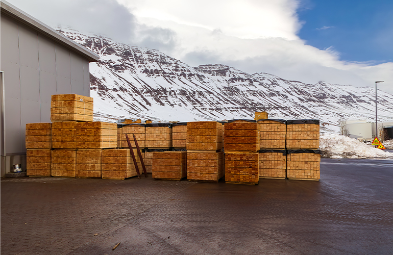 Pioneering pellets in the Land of Fire and Ice | Bioenergy International
