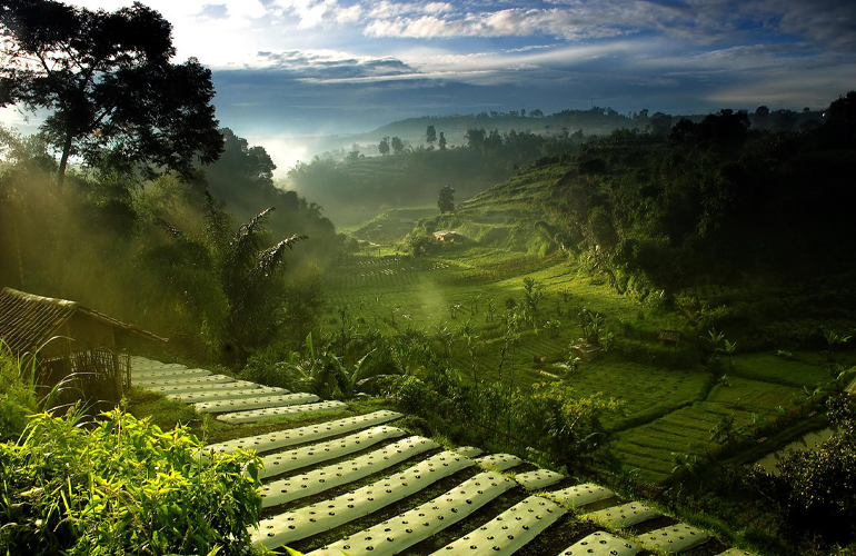 Landia to supply digester mixer systems to Indonesia | Bioenergy ...