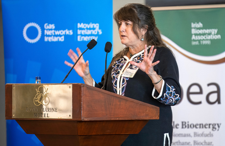 Recognition of biochar and BECCS in Ireland’s draft Climate Action Plan ...