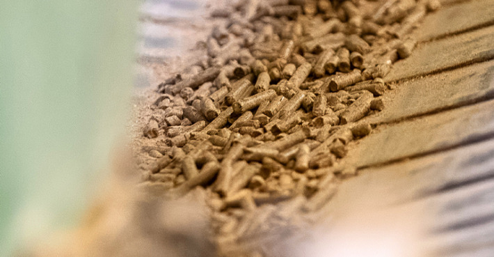 Low renewable power ambitions cement reliance on fossil fuel imports ...