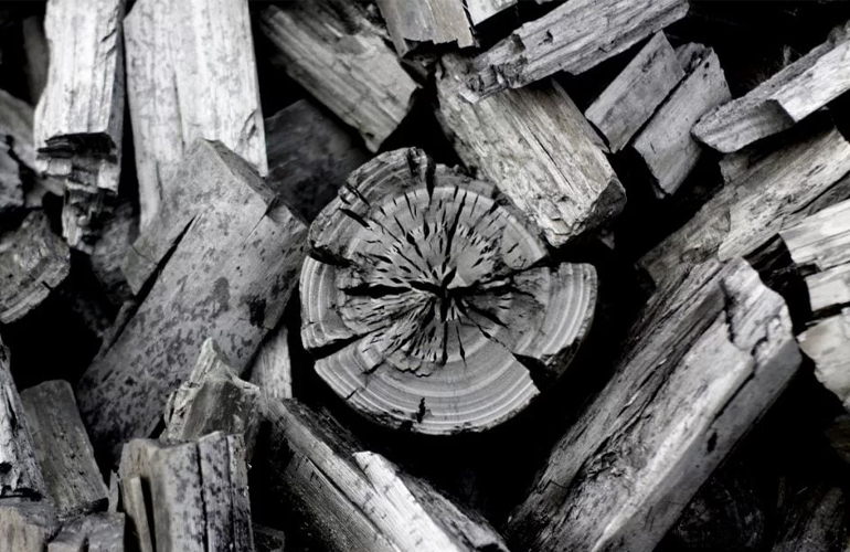 Nexa Resources and Aperam BioEnergia sign bio-oil offtake | Bioenergy ...