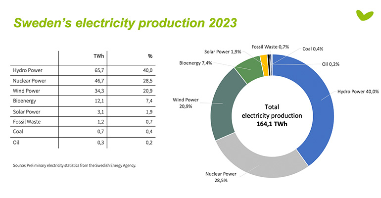 Sweden third to celebrate 2024 Bioenergy Day | Bioenergy International