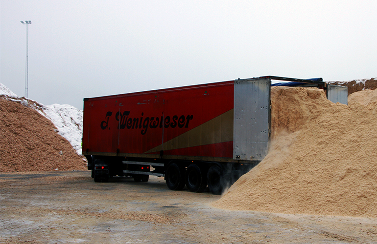 Estonia - a leader in digitization and the cascaded use of biomass ...